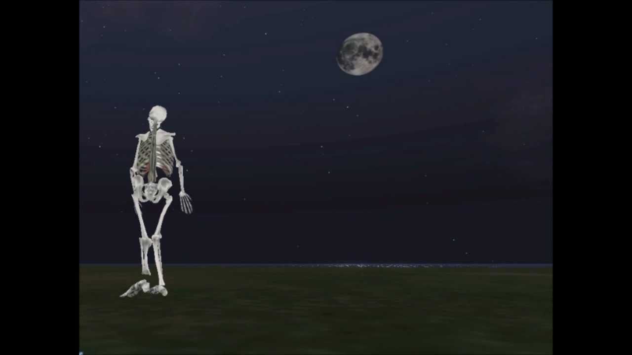 DS Skeleton Dance - YouTube