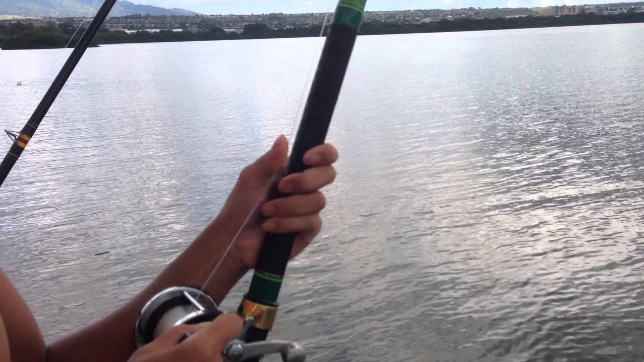 Fishing Oahu: Catching Oio - YouTube