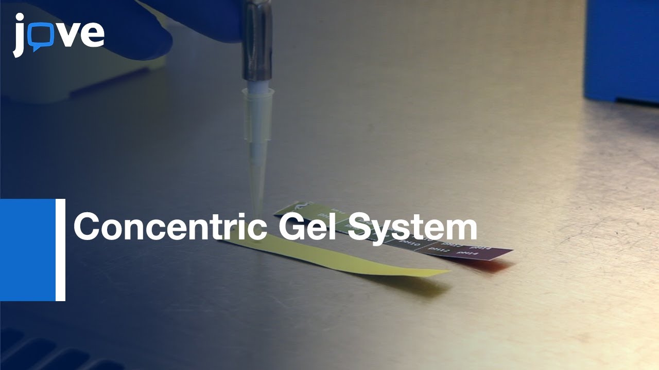 Concentric Gel System:Biophysical Role: Matrix Microenvironment-3D Cell ...