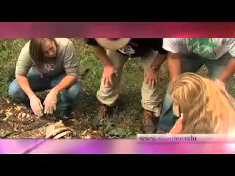 Professor Neal Haskell: Forensic Entomologist - YouTube