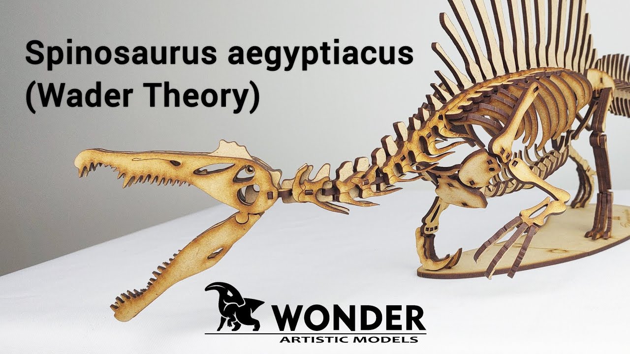Spinosaurus aegyptiacus (Wader Theory) 3D Wooden Model Kit | WONDER ...