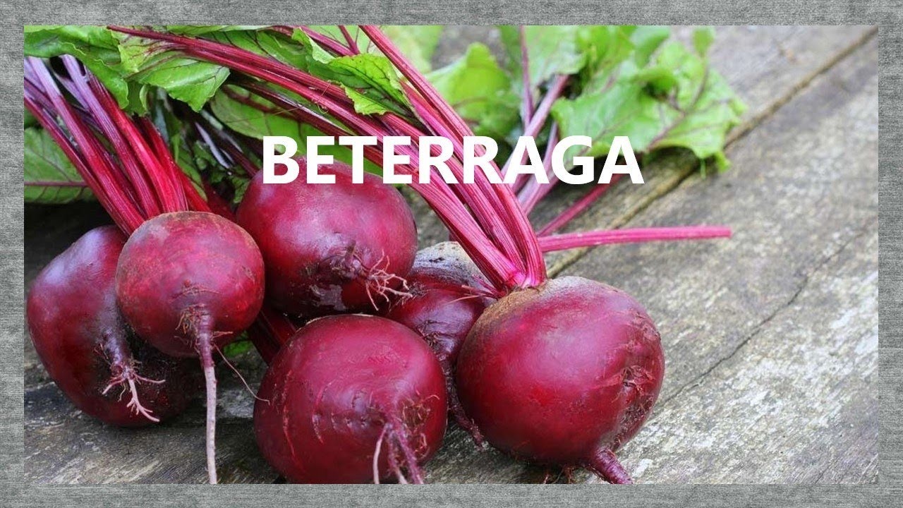 Como Preparar Un Super Jugo De Betarraga - Los Beneficios Del Betabel ...