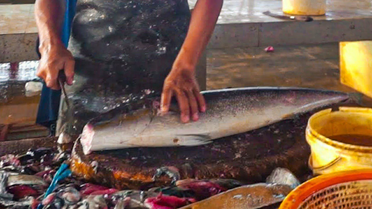 FASTEST CUTTING RAINBOW RUNNER FISH - YouTube