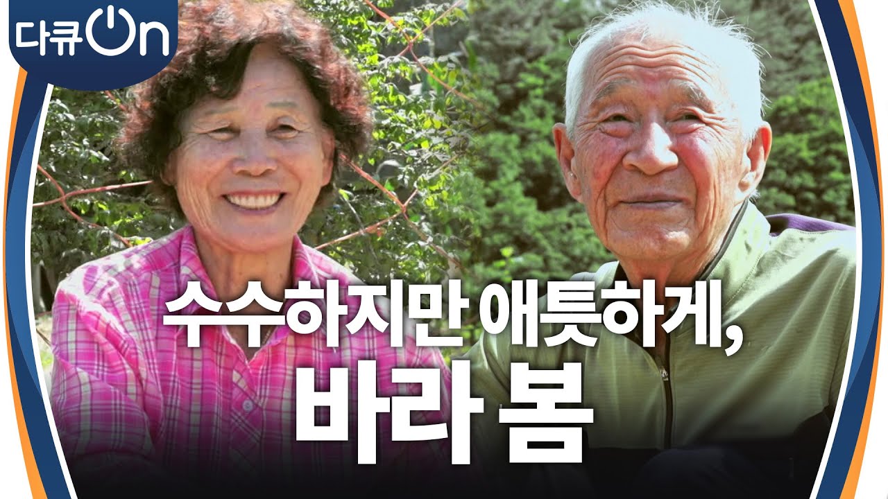 수수하지만 애틋하게, 바라 봄 [다큐ON-Docu ON] | KBS 250215 방송 - YouTube