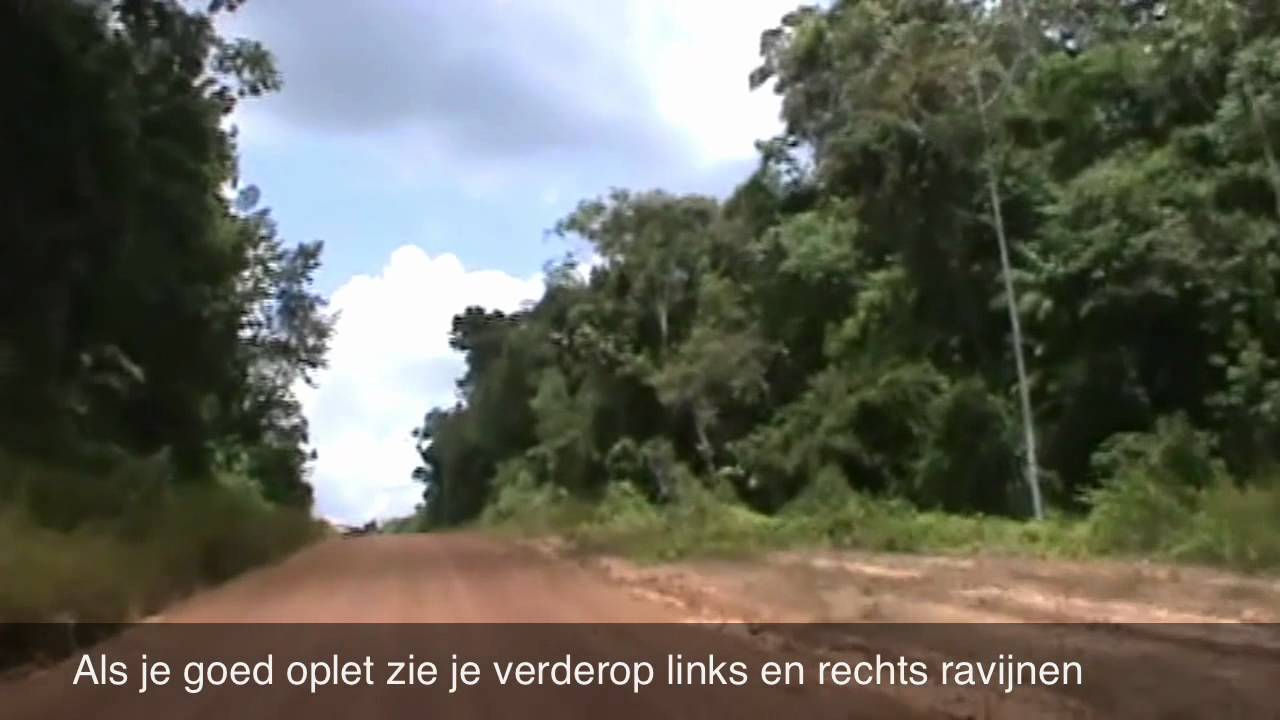 Op Weg Naar Apoera, Een Impressie ....... - YouTube