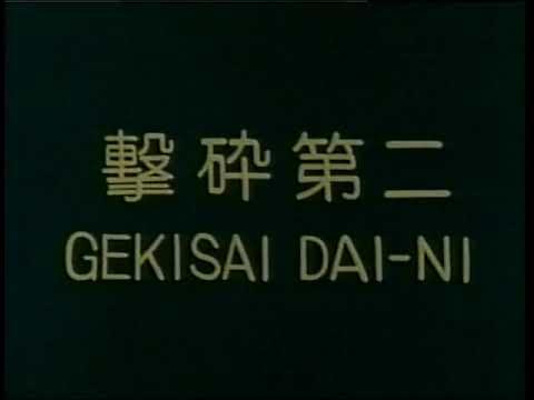 Gekisai Dai Ni - Morio Higaonna - YouTube