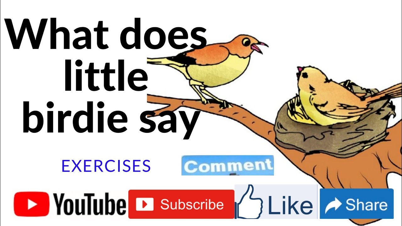 What does little birdie say EXERCISE - YouTube
