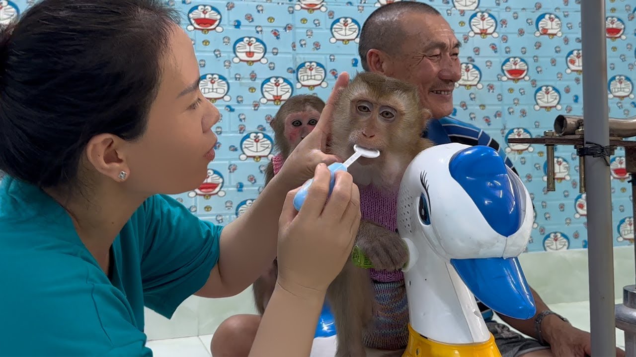 Mom today's dental checkup for Monkey is super fun - YouTube