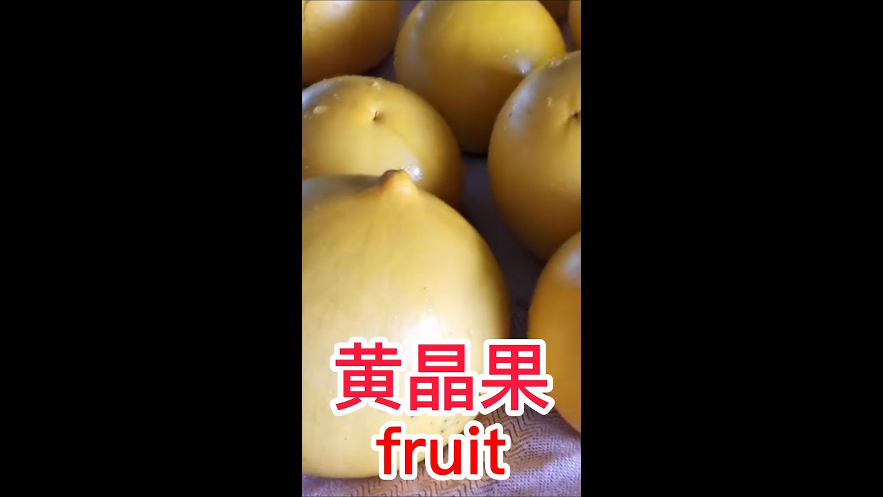 黃晶果水果好吃，果肉滑溜溜的，很嫩滑爽口，味道不錯The topaz fruit is delicious, the pulp is ...