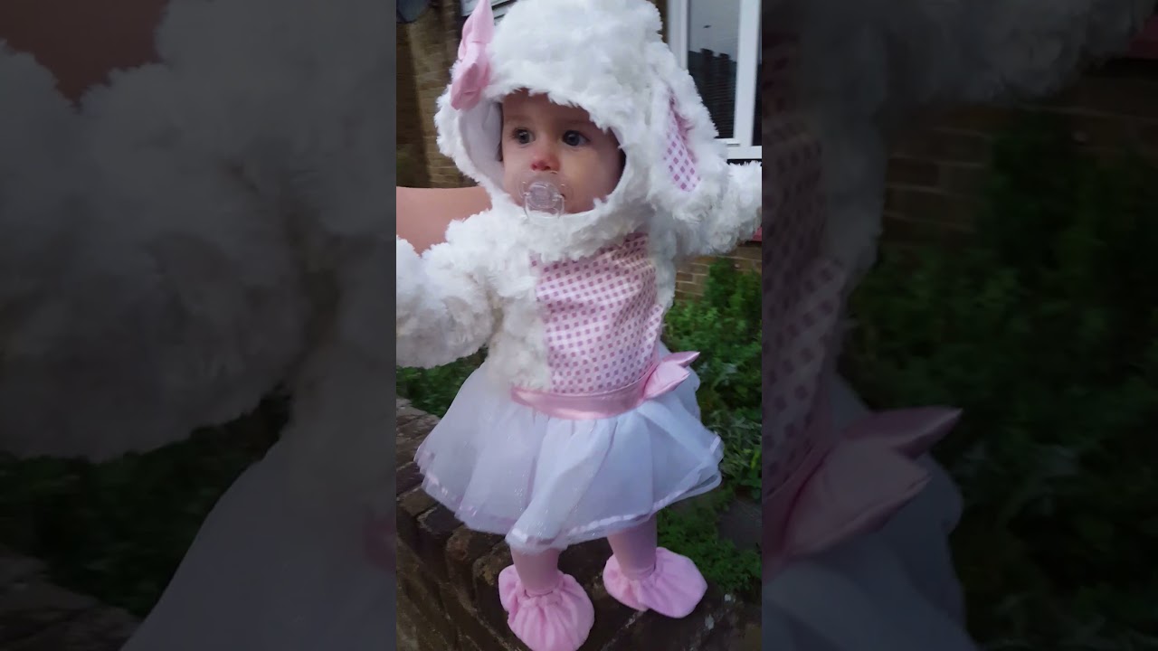 Cutest lamb Halloween costume. Mary had a little lamb - YouTube