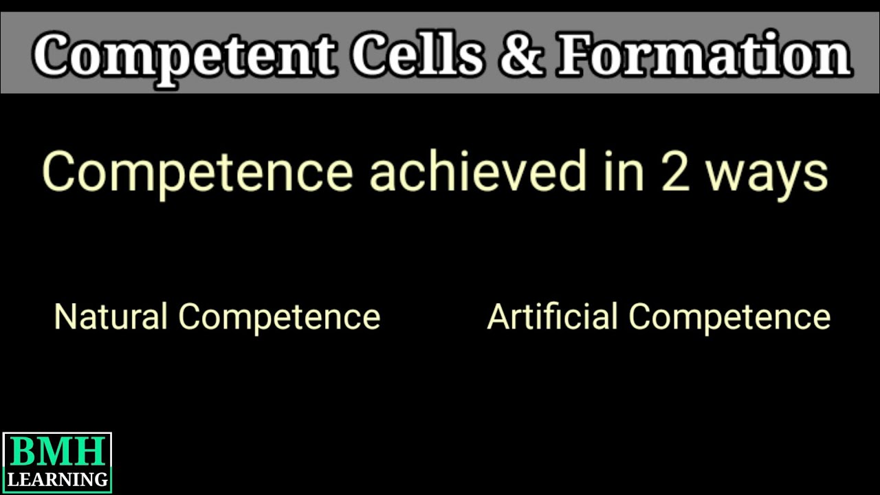 Competent Cells | Preparation Of Competent Cells | Competent Cell ...