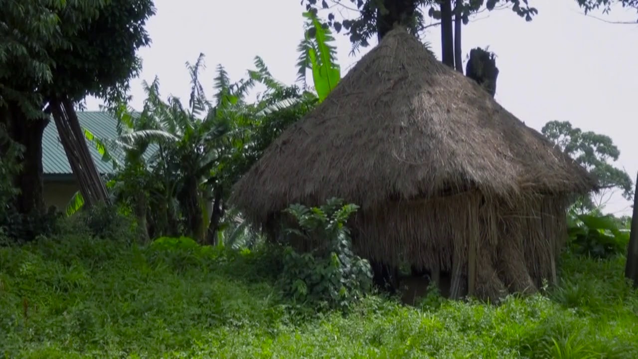 Discover Bambili ©2008 - YouTube