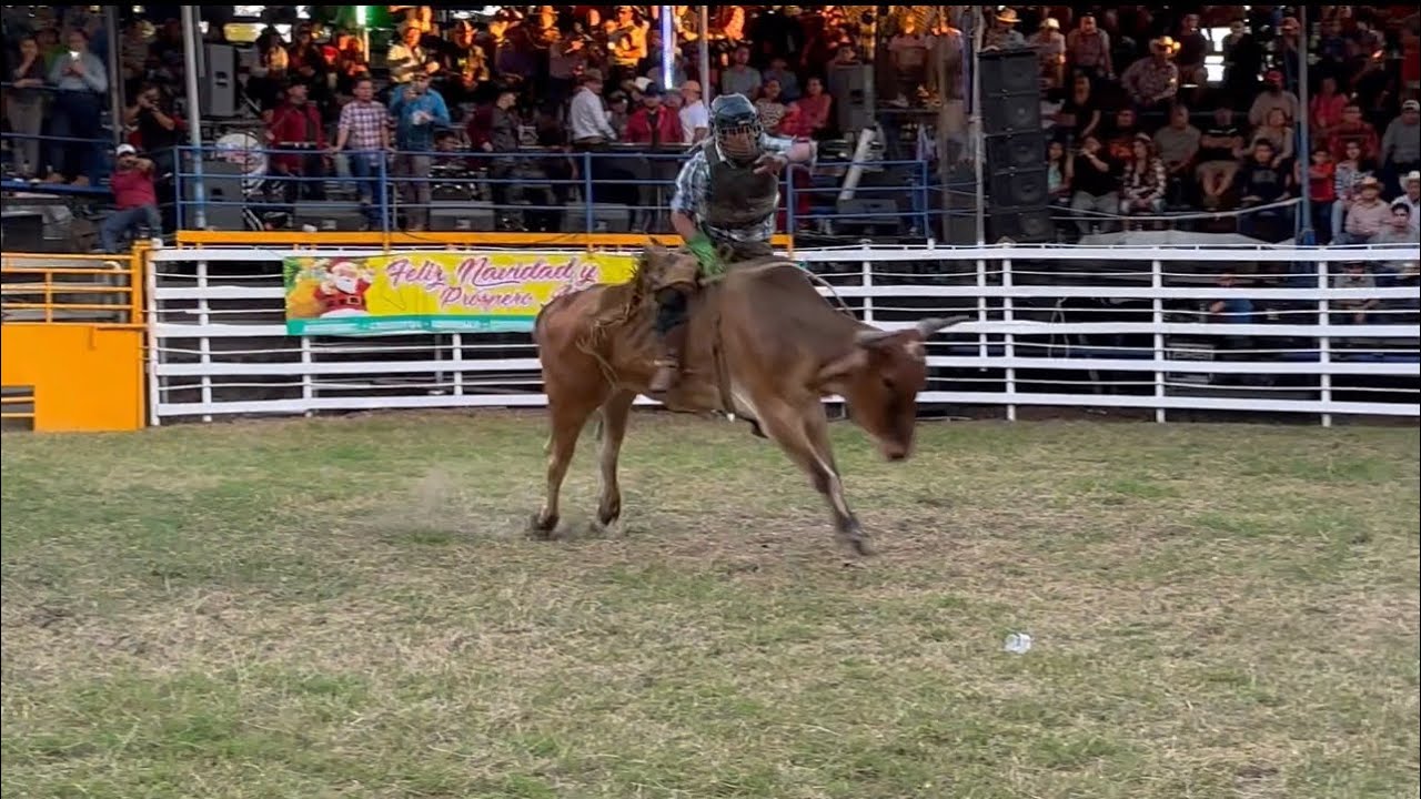 Mira como este toro remachó al montador - YouTube
