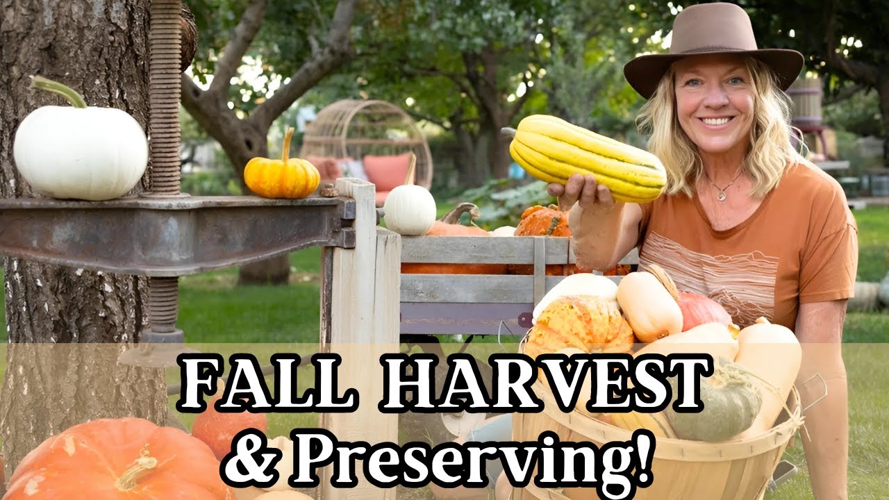 Fall Harvest & What We Are Preserving for Our Winter Self Sufficiency ...