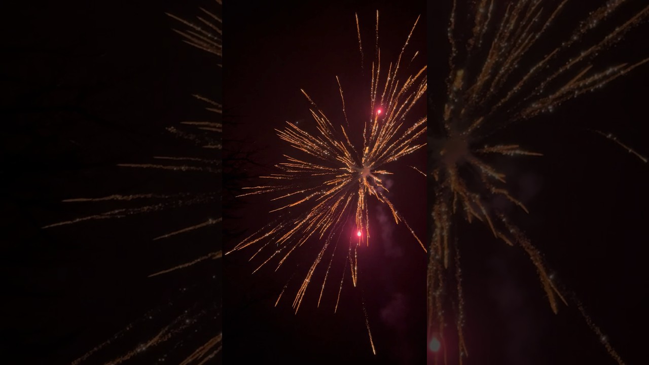 Holy nishiki raccoon fireworks #shorts #fireworks - YouTube