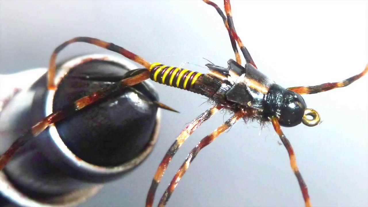Wire Stonefly Nymph - YouTube