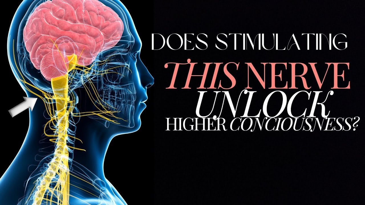 The Vagus Nerve: A Bridge Between Body, Mind, and Beyond? - YouTube