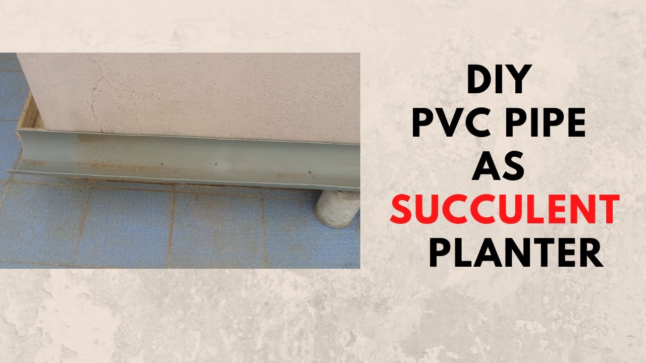 || DIY PVC PIPE AS SUCCULENT PLANTER || - YouTube
