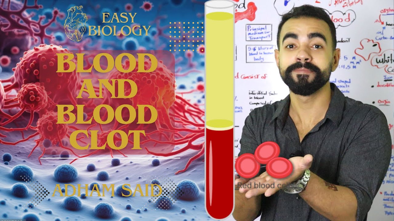 بيولوجي 2 ثانوي |Transport in Human P2 Blood structure and Blood Clot 👨 ...