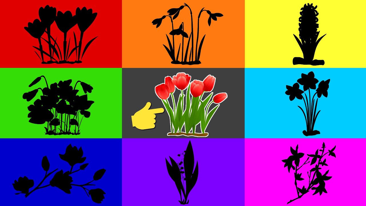 Spring Flowers - Kids Learning Cartoon - Educational Video - YouTube