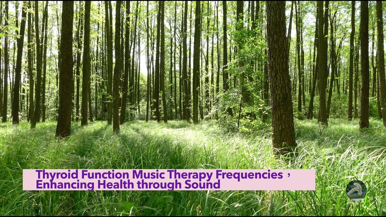 Thyroid Function Music Therapy Frequencies，Enhancing Health through ...