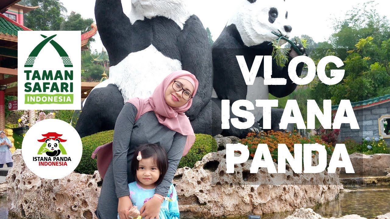 Serunya Tamasya Ke Istana Panda Indonesia Taman Safari Bogor - YouTube