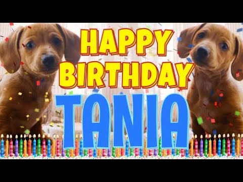 Happy Birthday Tania! ( Funny Talking Dogs ) What Is Free On My ...
