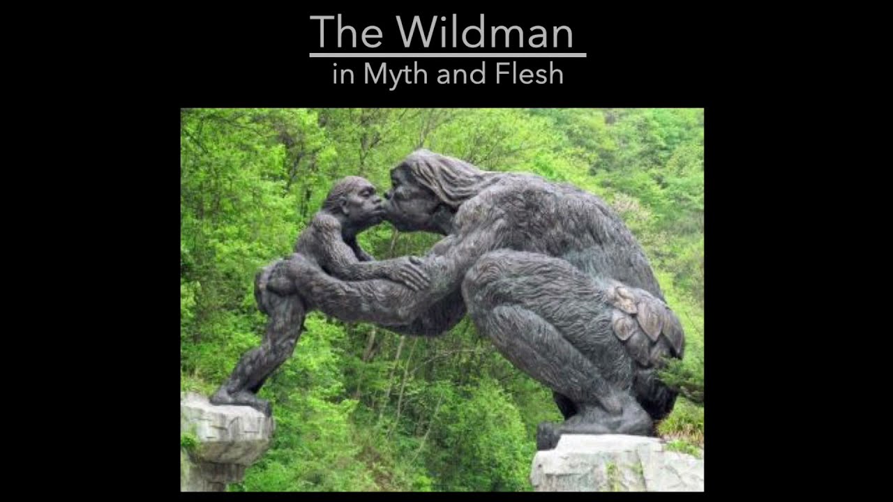 The Wild Man in Myth and Flesh: An Introduction To Relict Hominoid ...