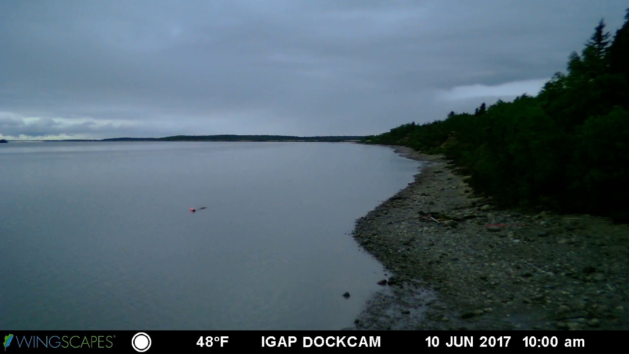 Levelock Shoreline Change Analysis (IGAP Dockcam) - YouTube