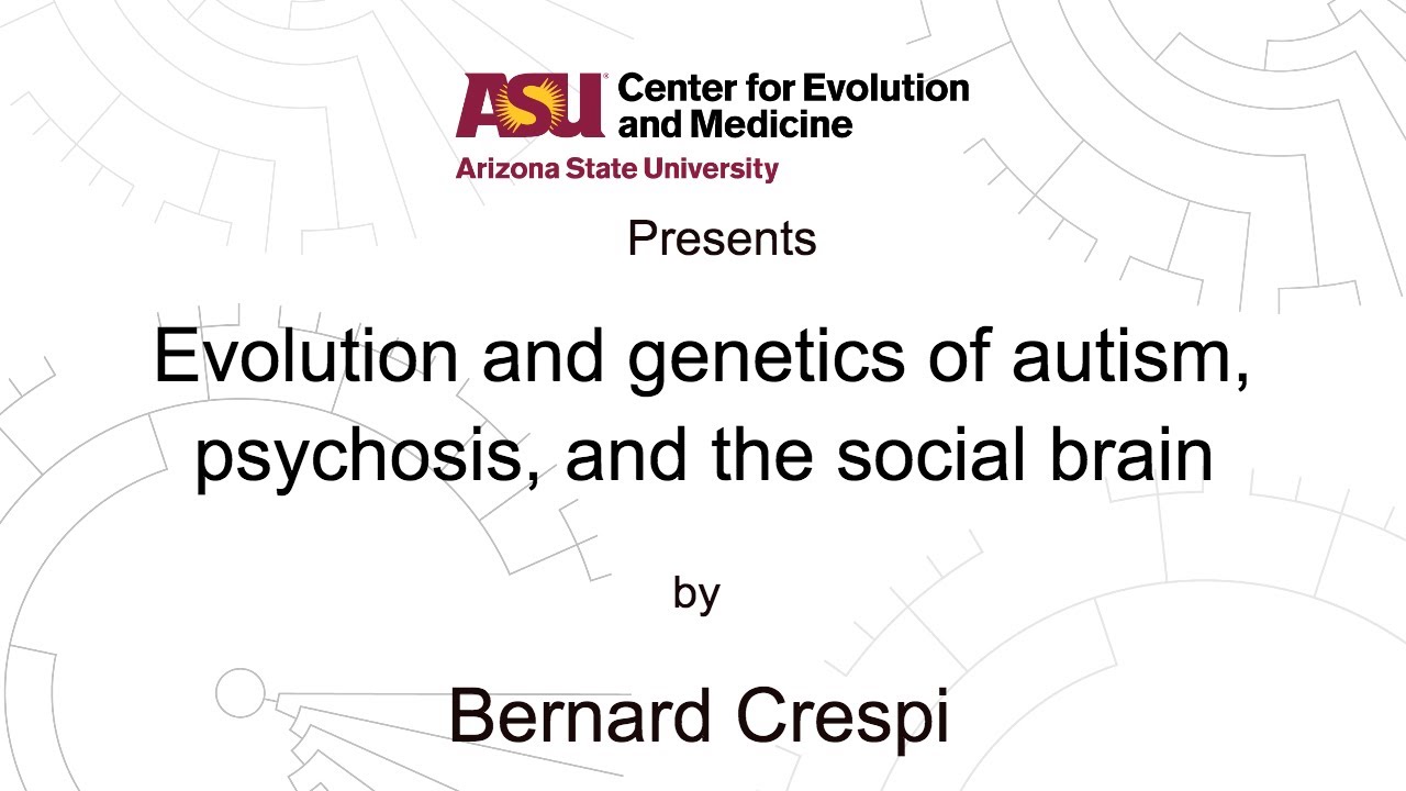 Evolution and genetics of autism, psychosis, and the social brain ...