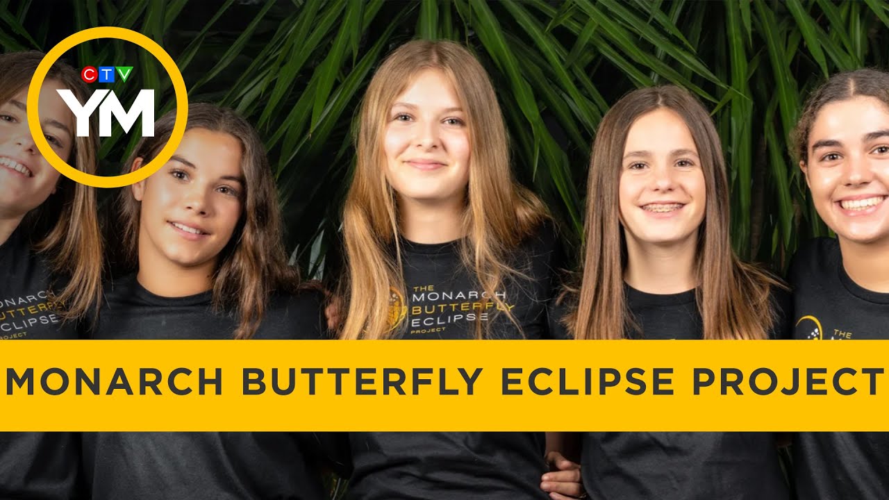 Ontario teens using eclipse to help monarch butterflies | Your Morning ...