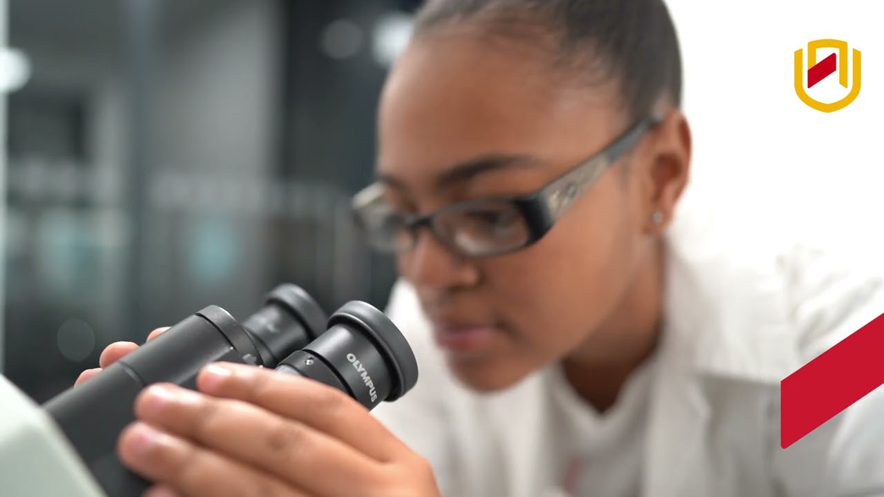 NUST New Building Tour | 3D Animation - YouTube