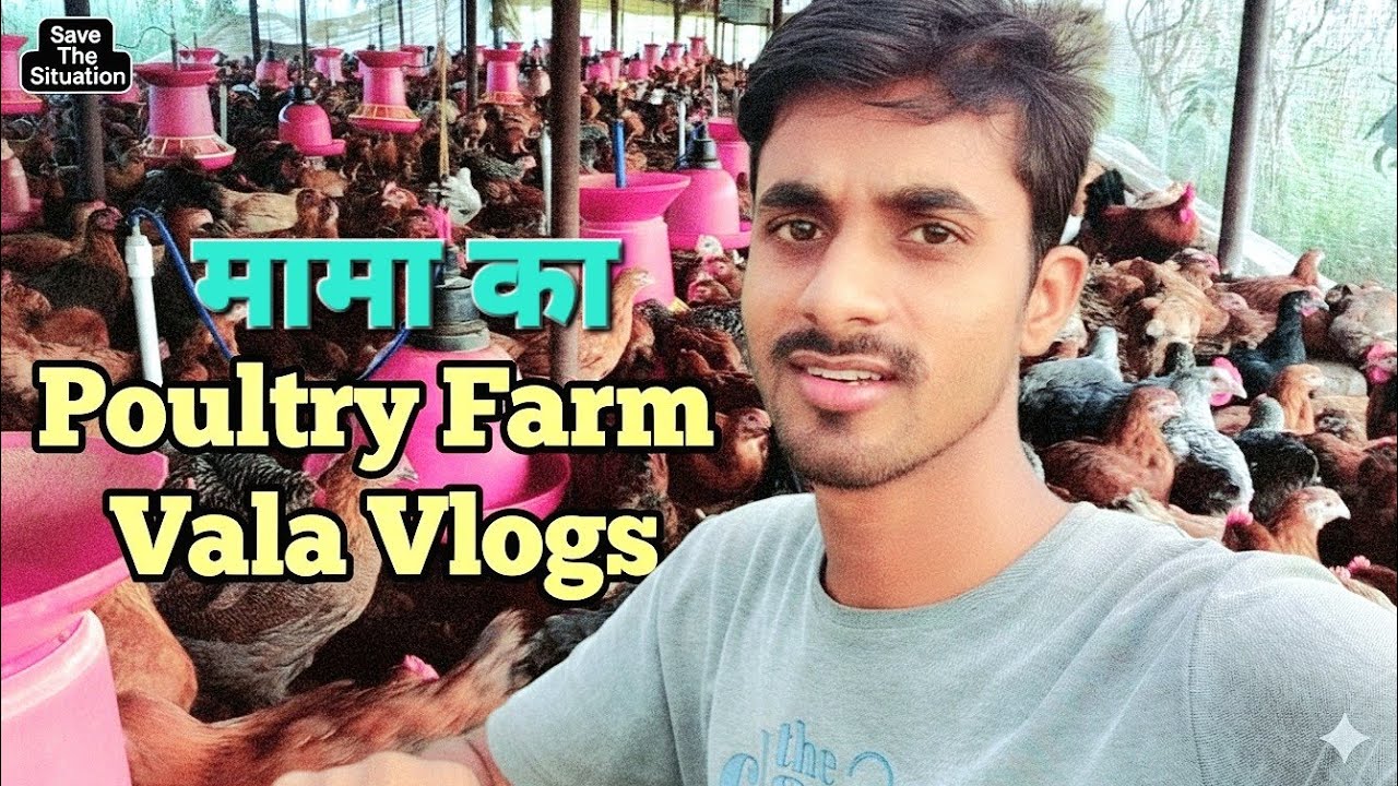 Mama Ka Murga Farm | Poultry Farm | मुर्गा फार्म | Vlogs ...