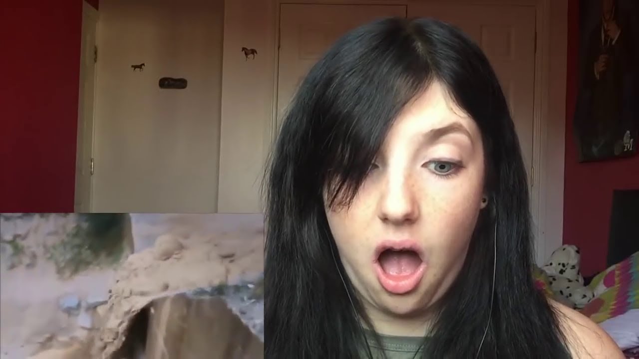 Unbelievable Nature Disasters Caught On Tape Reaction (ParaReact ...