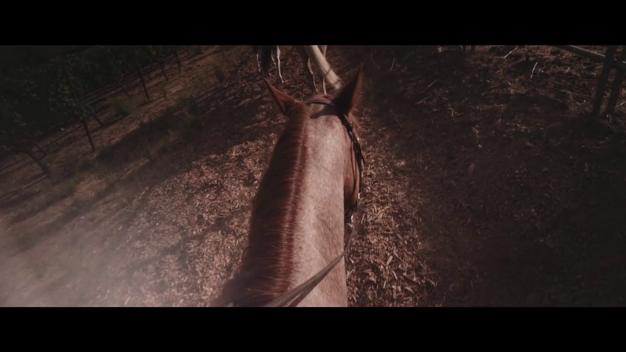 The Ultimate Ranch Experience - YouTube