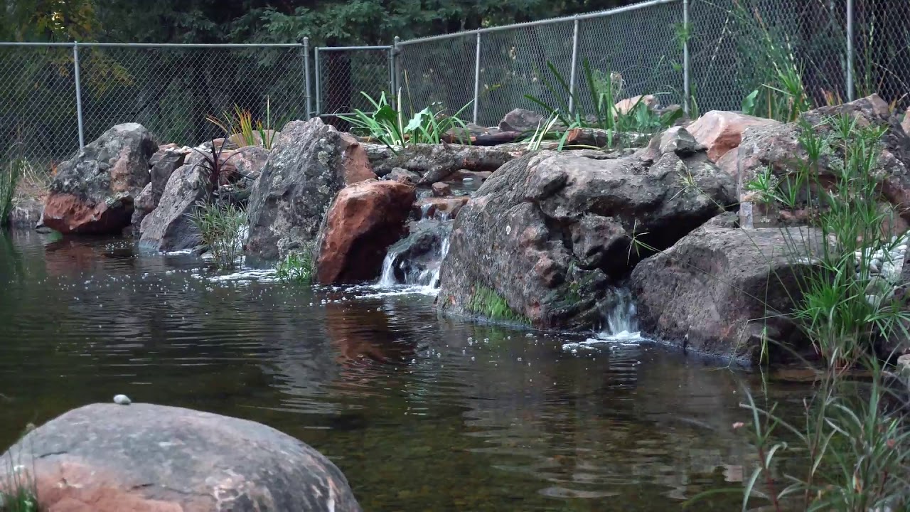 Recreational Pond in California!! | California AquaPros - YouTube