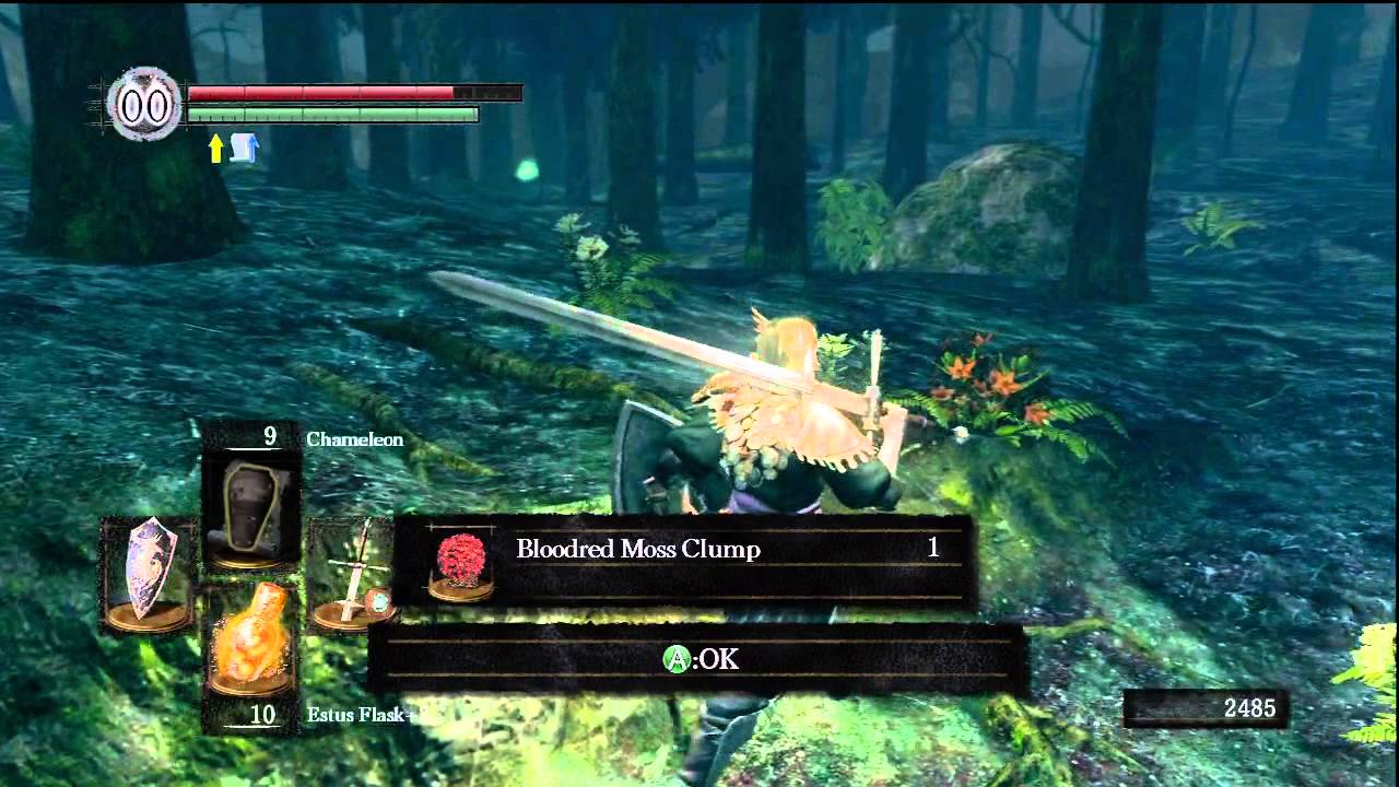 Dark Souls stealth - Hidden body & Chameleon - YouTube