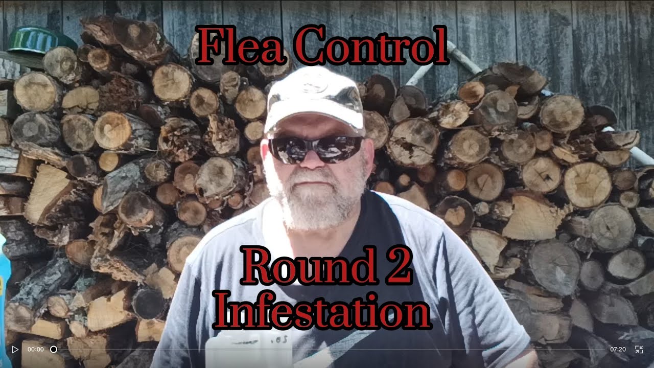 Flea Control Round 2, Infestation,,,It Will Kill Fleas and Burn Fleas ...
