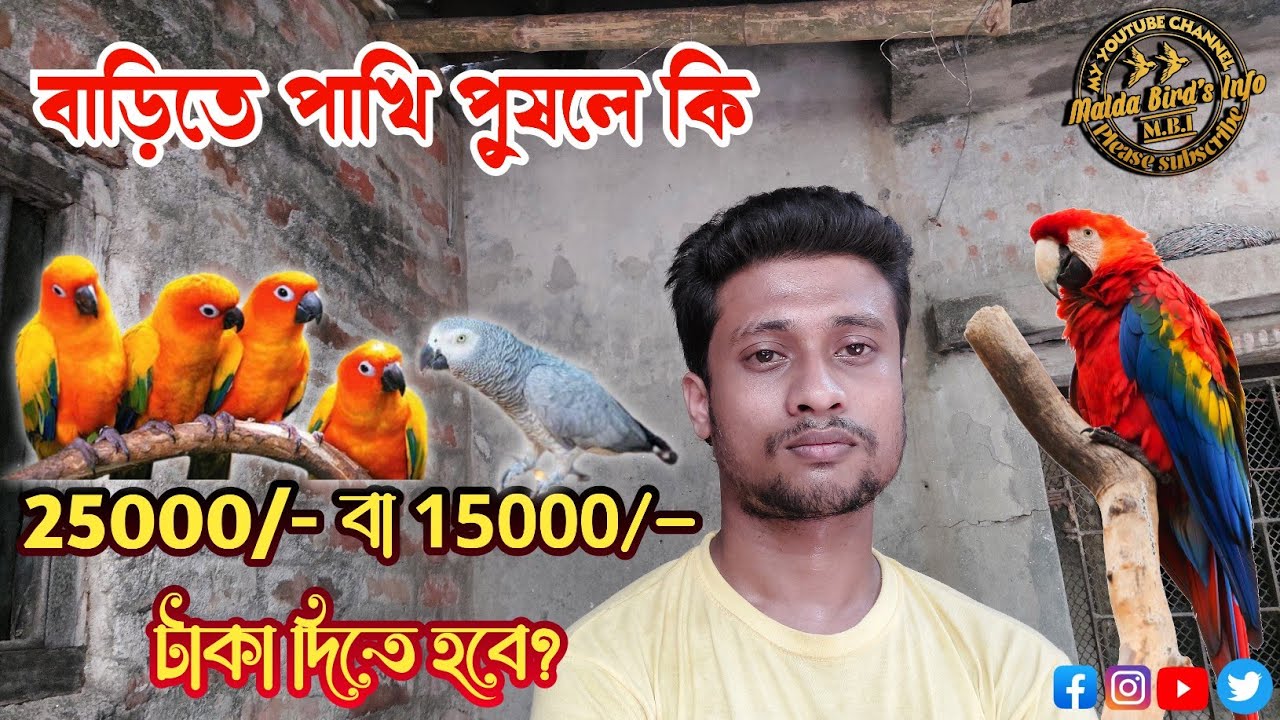 New Rules of Bird Registration 2023 | Birds Registration Information ...