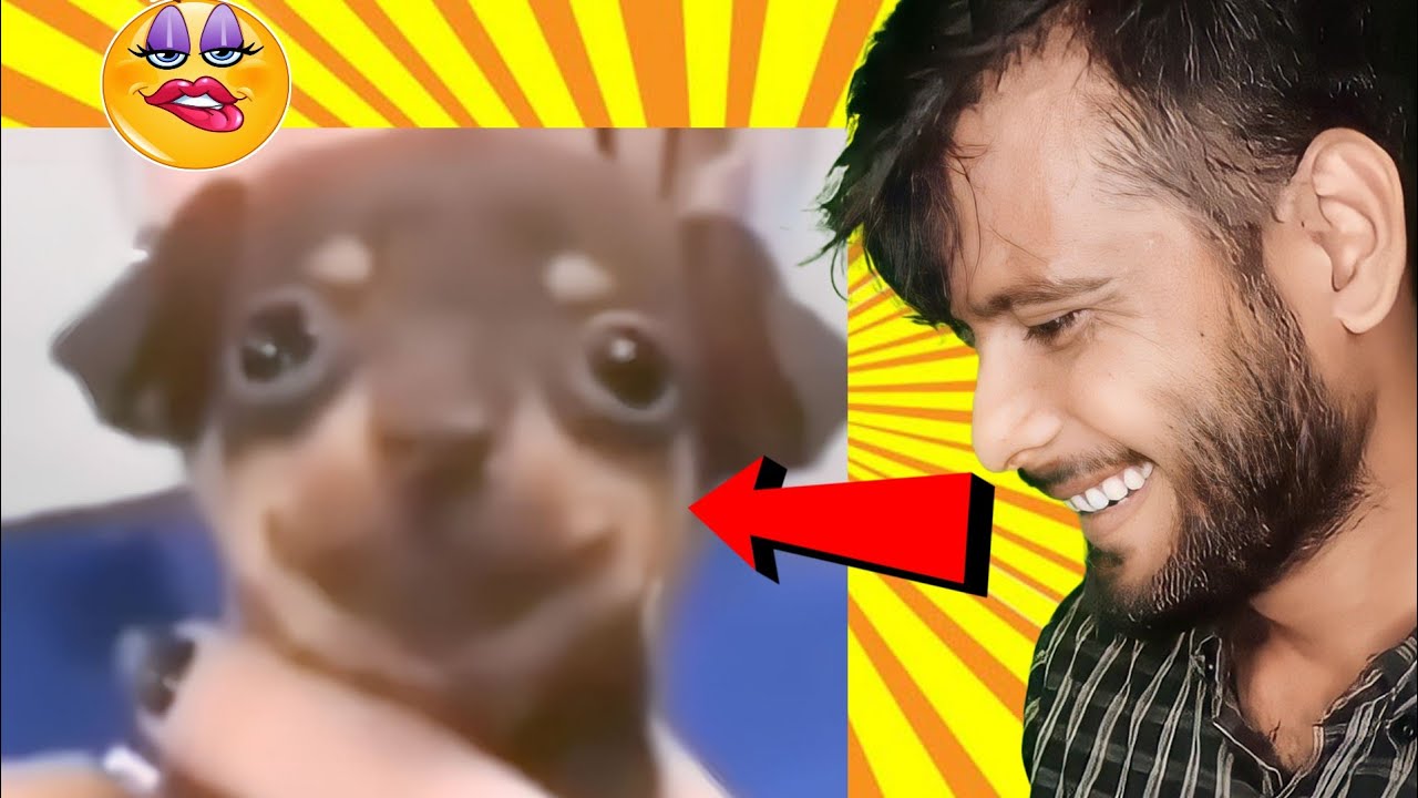 Funny Reaction Video😆 Best Funny Videos Compilation 😂😁😆 Memes PART 4 ...