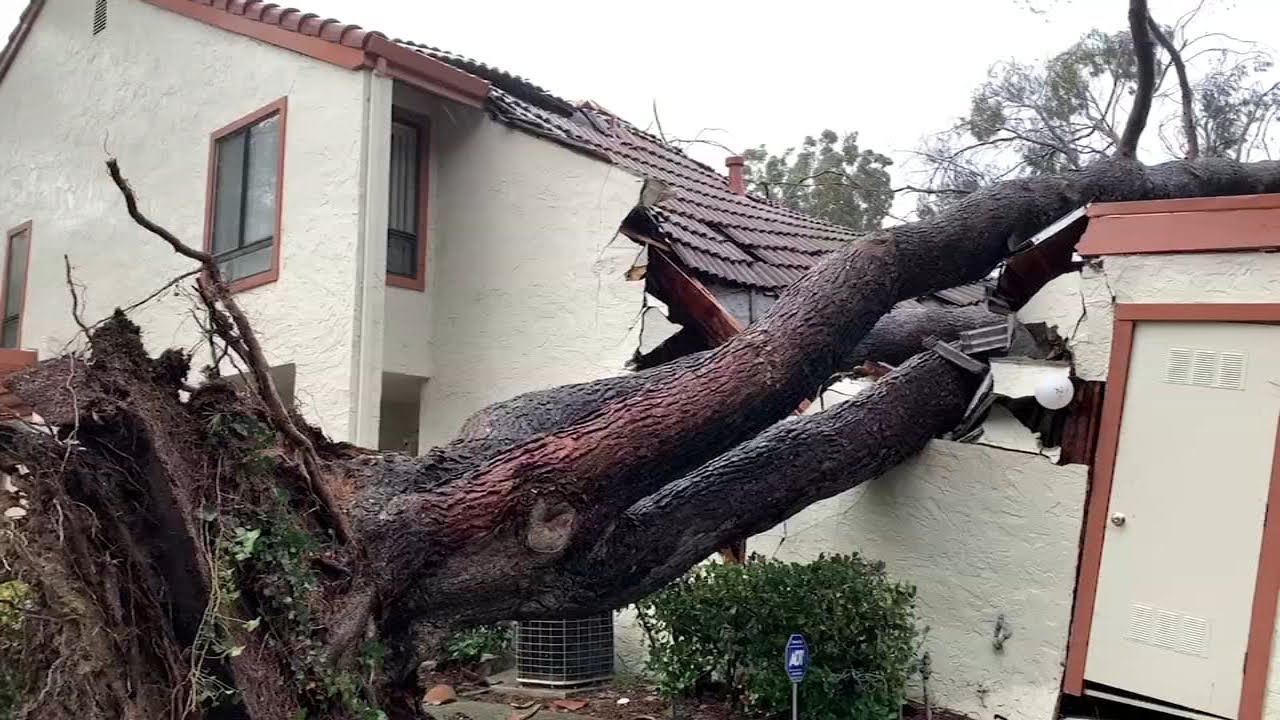 Level 4 storm: Massive tree falls on Bay Area townhome - YouTube