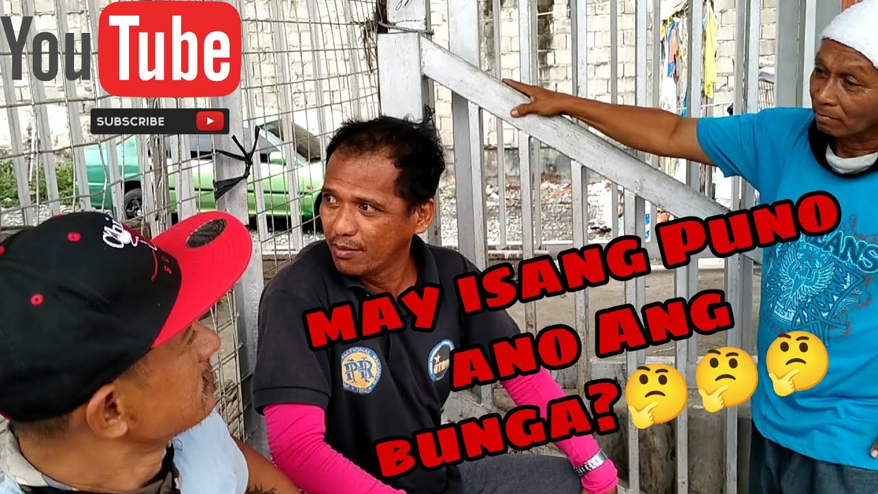 May isang Puno ano Ang bunga? - YouTube