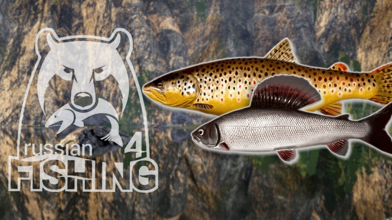 Belaya River Grayling & Brown Trout Russian Fishing 4 Spot #2 - YouTube