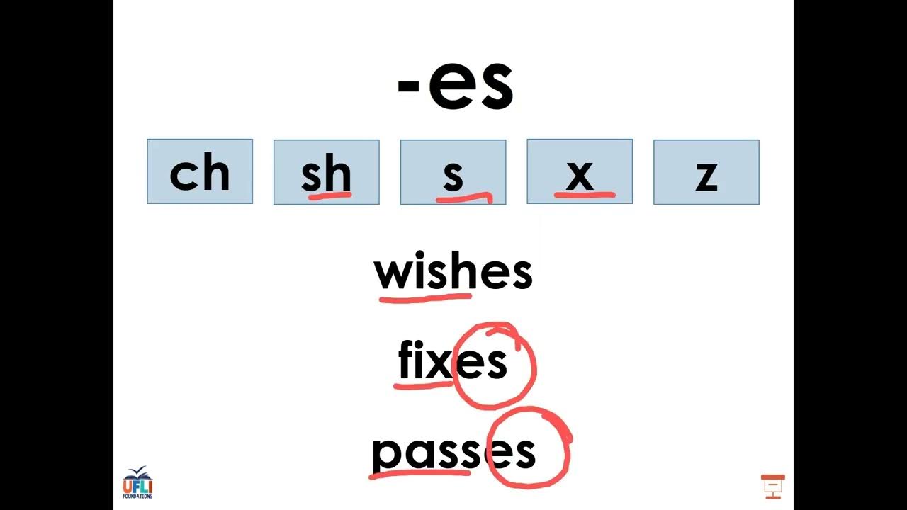 UFLI Lesson 99: -s/-es - YouTube