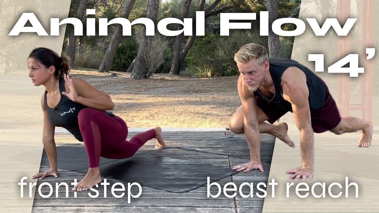 Animal Flow | Flow du Jour avec le Front Step et le Beast Reach — Faire ...