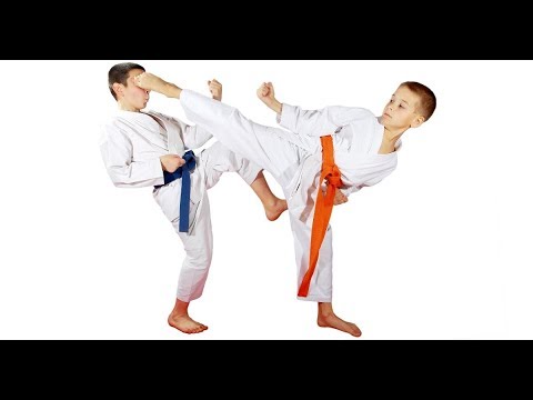 3rd international open karate championship 2017 at netaji indoor ...