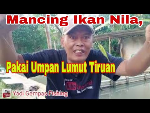 🎣Mancing Ikan Nila, pakai umpan Lumut tiruan - YouTube