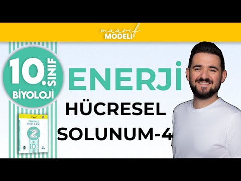 Oksijenli Solunum-4 | Enerji 1.Ünite | 10.sınıf biyoloji maarif model | ZEDUVA
