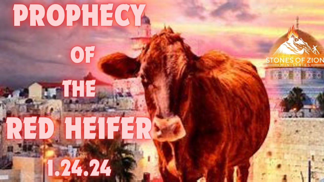 "Prophecy of the Red Heifer"- Vision of The Beginning of Judgement ...
