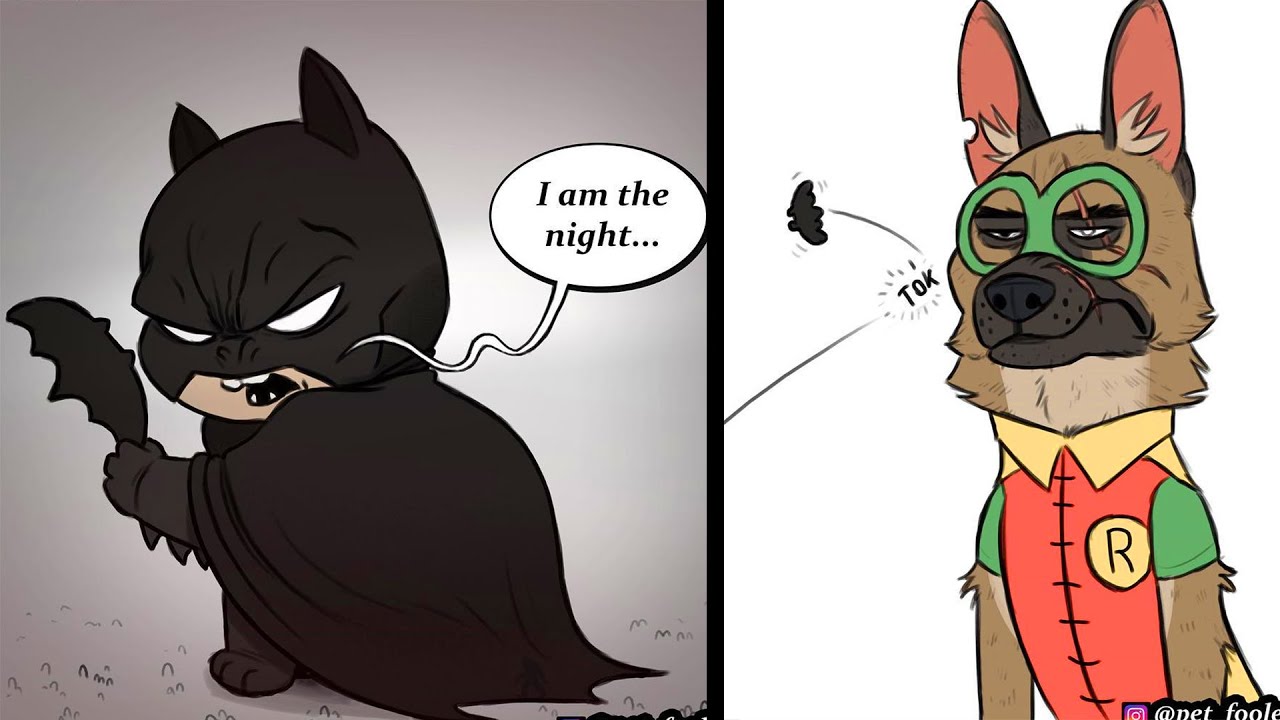 Military Dog and The Kitty Comics | Webcomic By Petfoolery #1 - YouTube